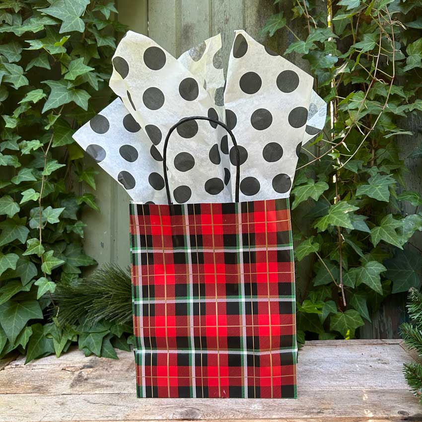 Gift Bag - Tartan Cub Size – Peters Packaging